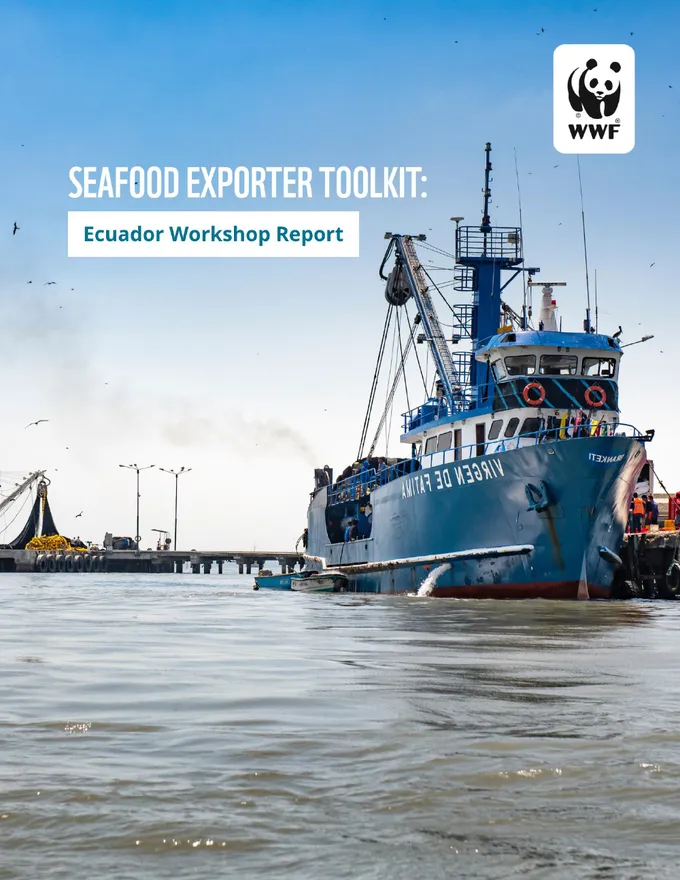 Our publications | World Wildlife Fund