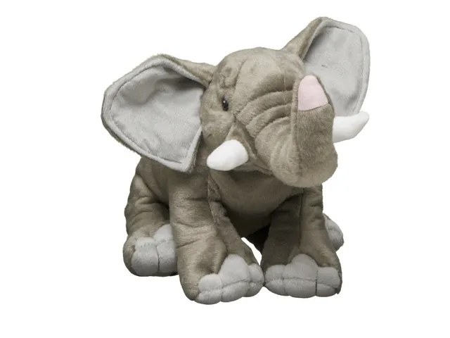 Elephant Facts: Differences, Behaviors, and Conservation | WWF