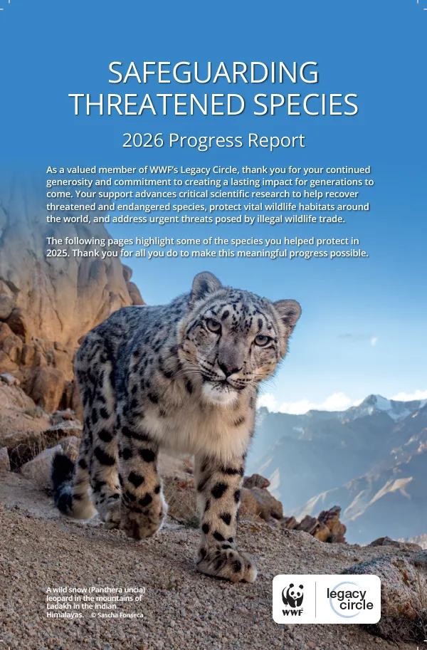 Safeguarding Threatened Species: 2026 Progress Report | WWF