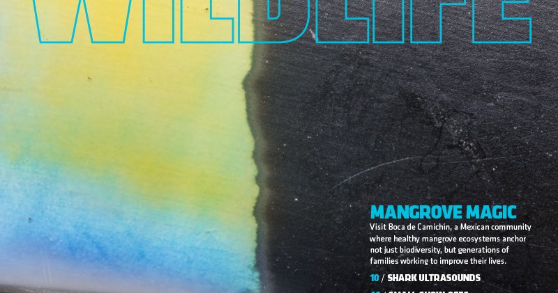 World Wildlife Magazine: Winter 2022 | World Wildlife Fund