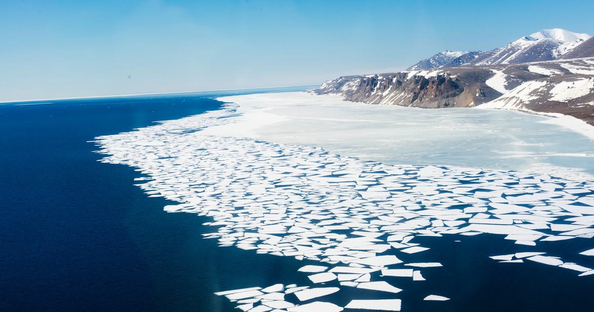 Arctic Watch: Safe Shipping in the Bering Strait | WWF