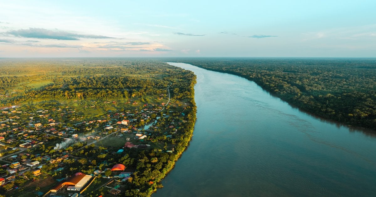 Where we work | WWF