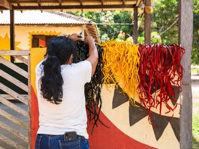 Brazil and local communities key to conserving Amazon rainforest ...