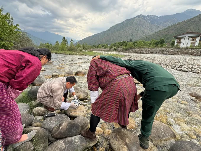 eDNA reveals snow leopards in Bhutan | World Wildlife Fund