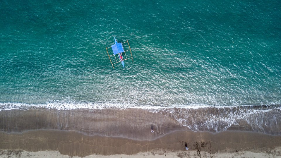 Tuna | World Wildlife Fund