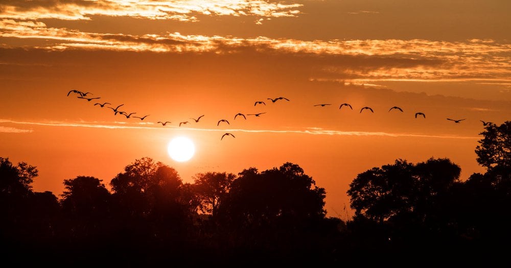 The Amur Heilong River | WWF | World Wildlife Fund