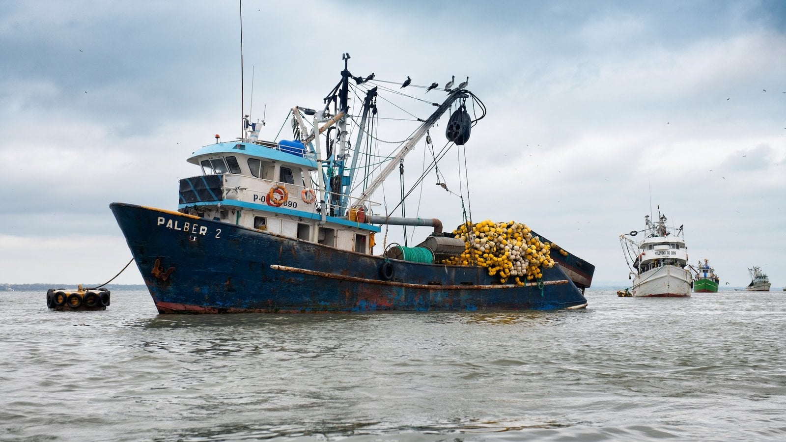 Ecuador’s Tuna Industry: A Sustainability Model | WWF