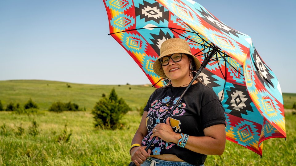 Returning bison to their ancestral homes restores Indigenous land ...