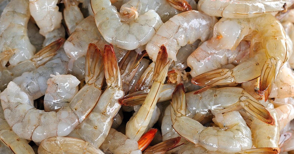 Sustainable Shrimp Farming: Global Growth and Challenges | World ...