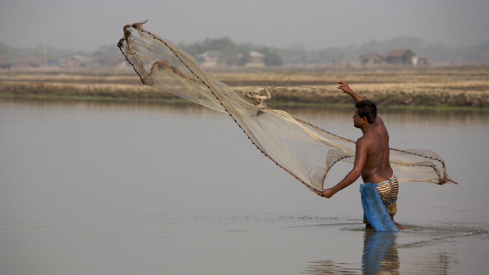 Sustainable Shrimp Farming: Global Growth and Challenges | World ...