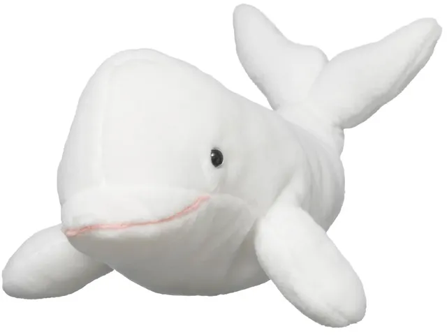 Beluga Whale | WWF