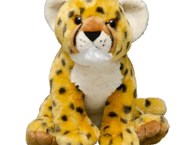 Cheetah | World Wildlife Fund