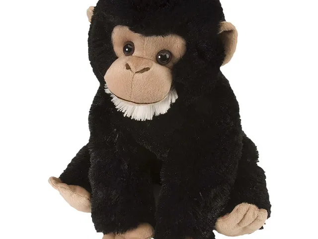 Chimpanzee | World Wildlife Fund