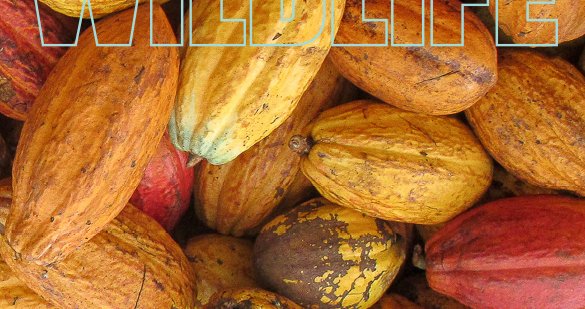 World Wildlife Magazine | Fall 2025 | World Wildlife Fund