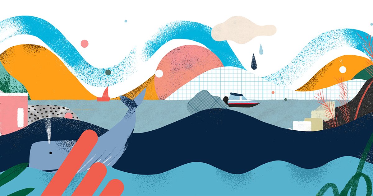 A New Approach to Conservation Funding for Lasting Impact | WWF