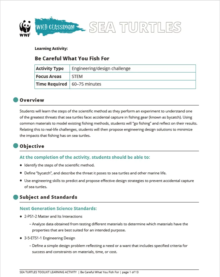 Hands-on STEM and science activities | World Wildlife Fund