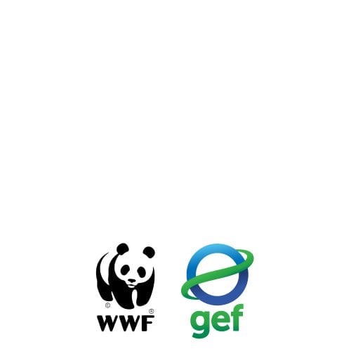 WWF-GEF | WWF