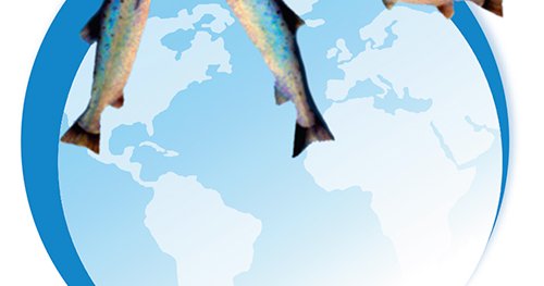 Rethinking Global Food Systems for Sustainability | World Wildlife Fund