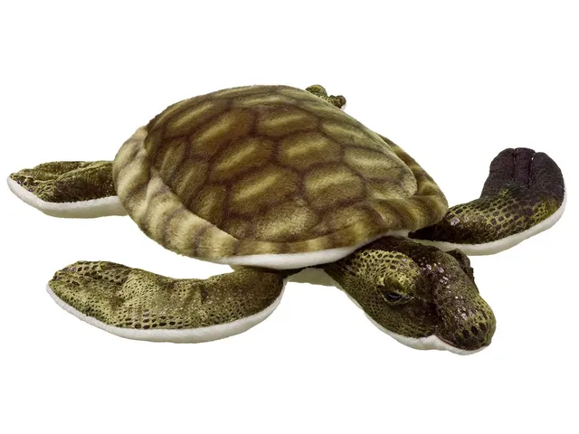 Sea Turtle | World Wildlife Fund
