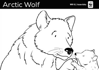 How Art Inspires Environmental Action and Awareness | World Wildlife Fund