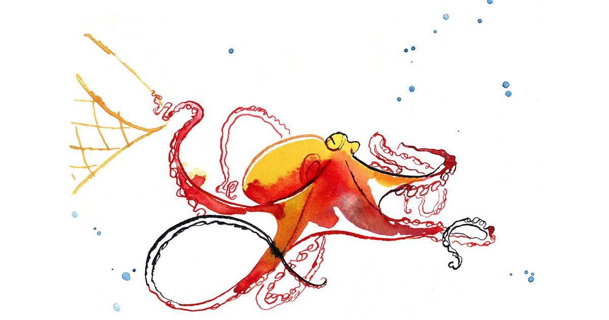 An Octopus Encounter in the Mediterranean Sea | World Wildlife Fund