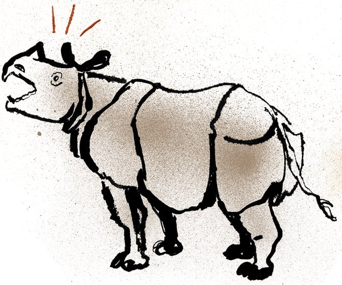 Rhinos: Conservation Status and Global Efforts | World Wildlife Fund