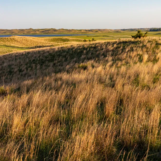 What Are Grasslands And Why Do We Need To Protect Them? | World ...