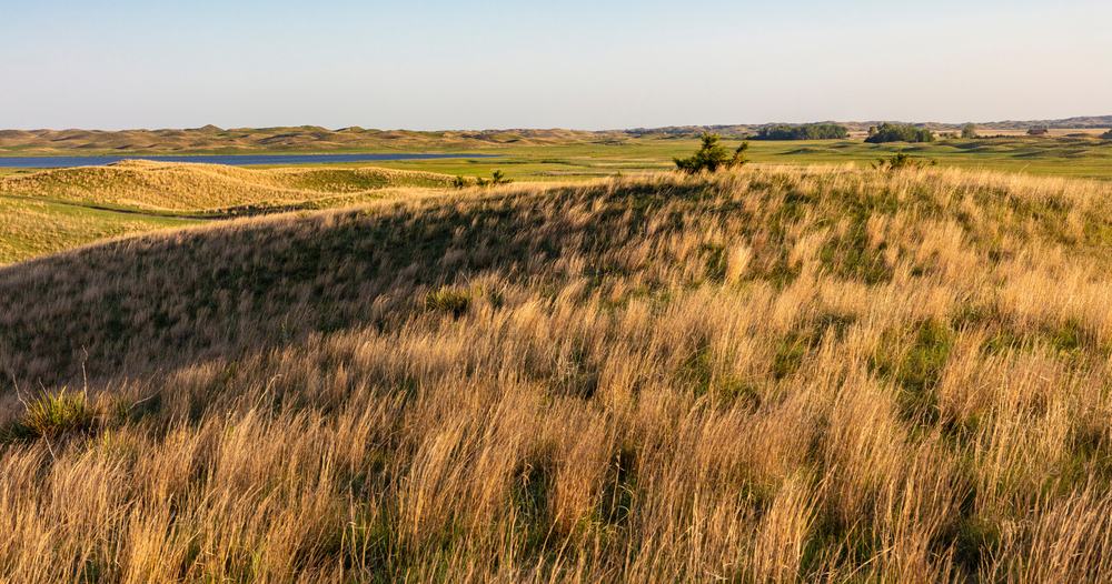 What Are Grasslands And Why Do We Need To Protect Them? | World ...