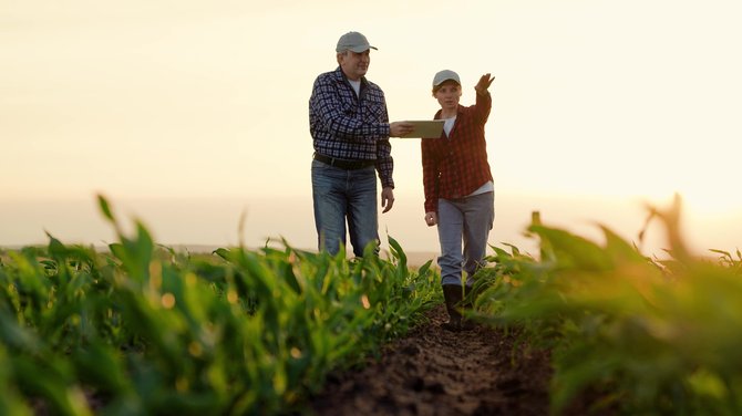Food Waste: Causes, Impacts, and WWF’s Solution | World Wildlife Fund
