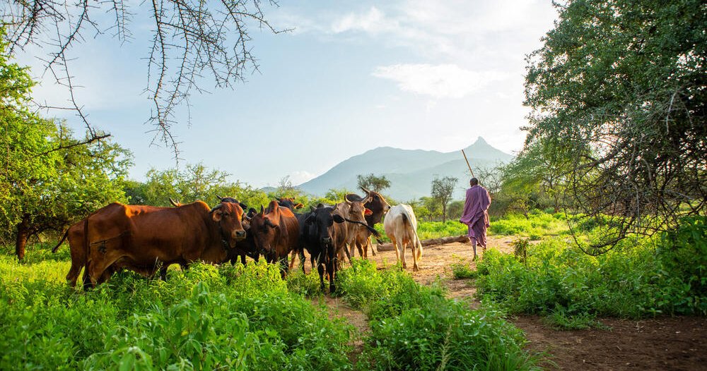 What is human-wildlife coexistence? | World Wildlife Fund