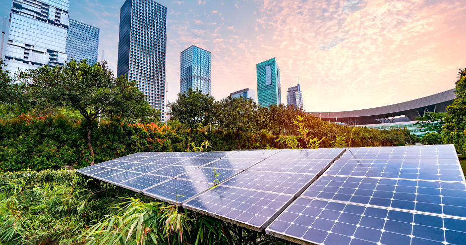 Corporate Climate Action | WWF