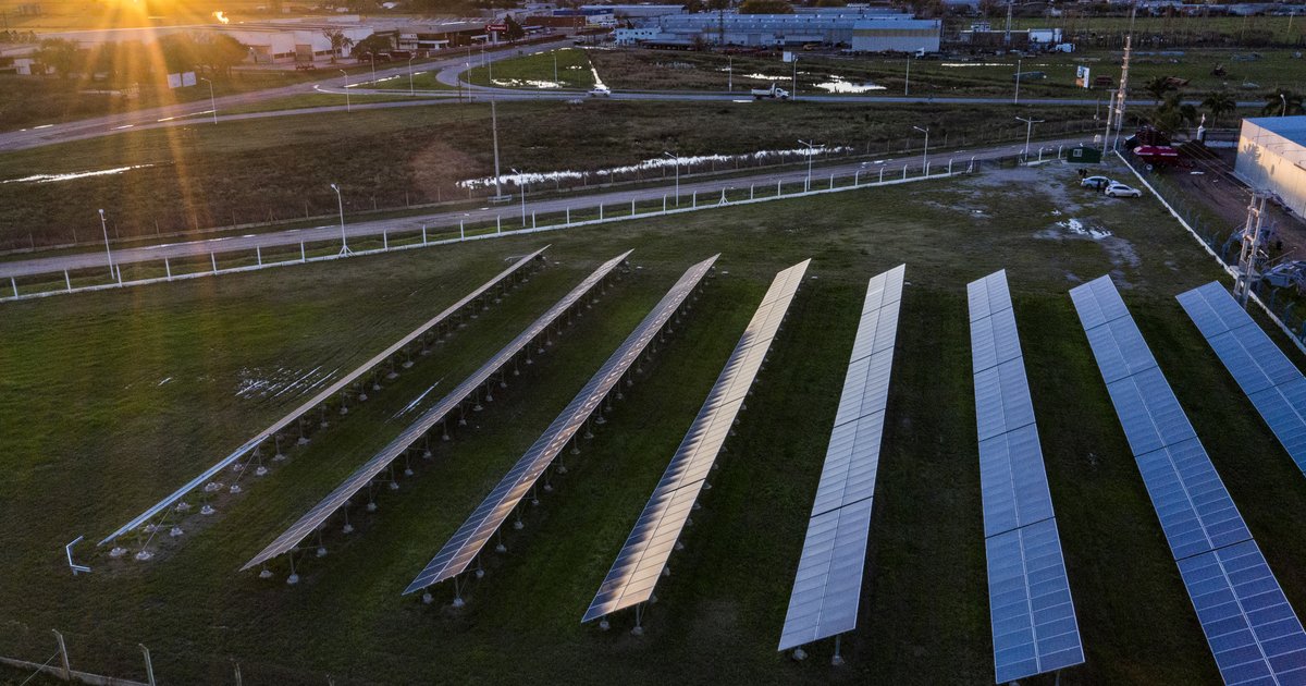 WWF's Marcene Mitchell on what we need to see at COP28 | World Wildlife ...