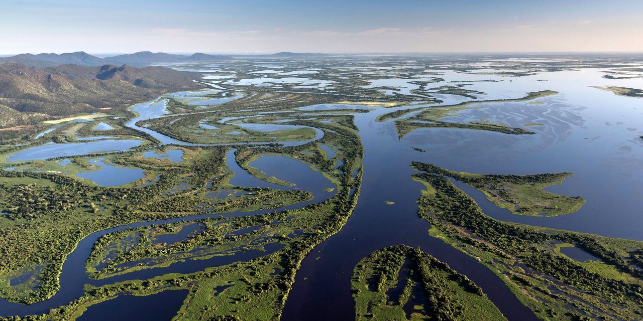 Restoring River Connectivity to Protect Biodiversity | World Wildlife Fund