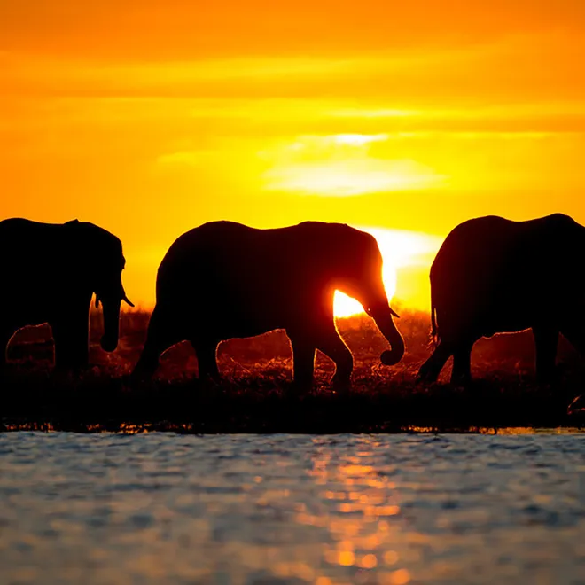 Cuando River Basin report card | World Wildlife Fund