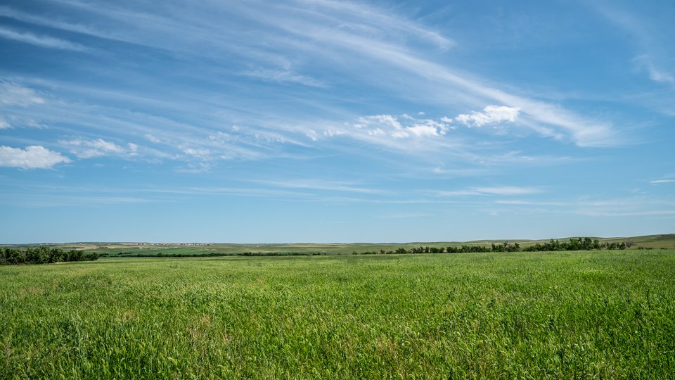 Restoring Grasslands: One Square Foot at a Time | World Wildlife Fund