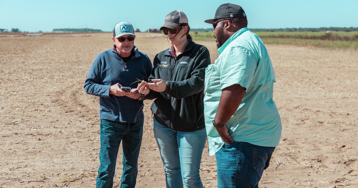 Building a Sustainable Specialty Crop Hub in the Mid-Delta | World ...