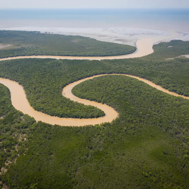 Safeguarding Madagascar’s Northern Forests and Rivers | World Wildlife Fund