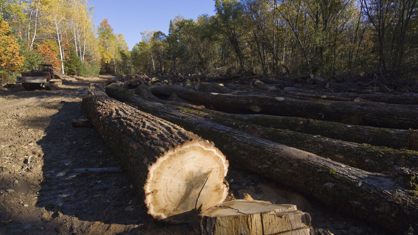 The Amur Heilong River | WWF | World Wildlife Fund