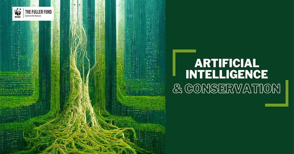 AI and Conservation | WWF