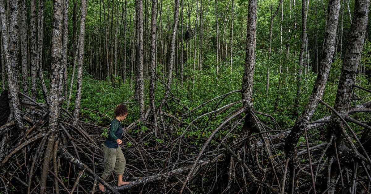 World Wildlife Magazine | Winter 2024 | World Wildlife Fund