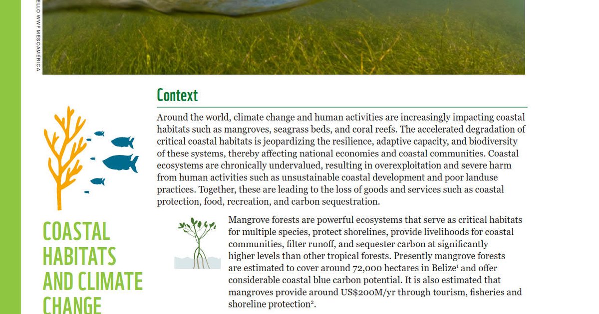 Blue Carbon Project Factsheet | WWF