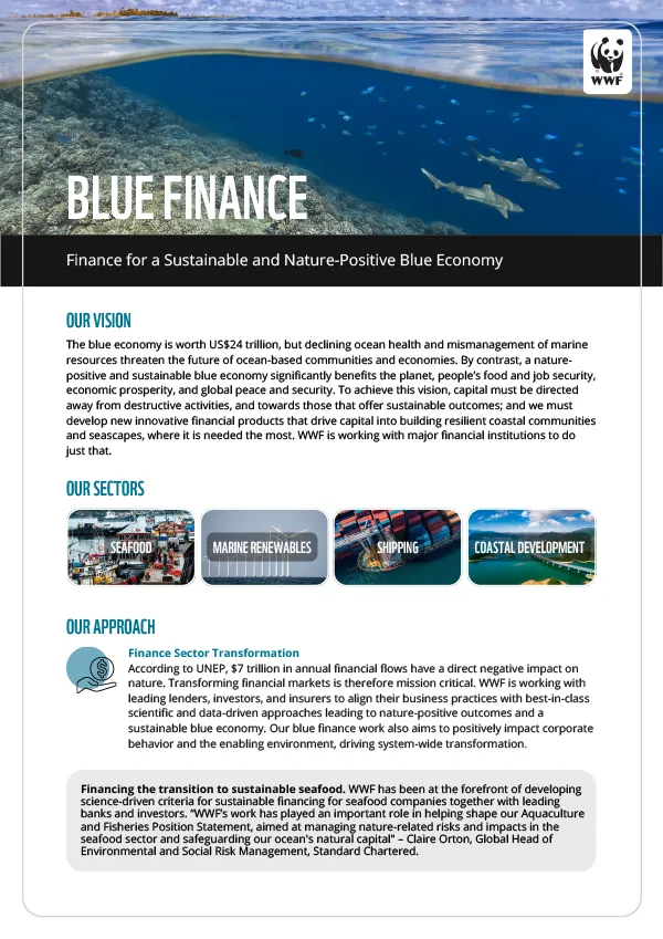 Blue Financial Markets - Finance Sector Transformation | World Wildlife ...