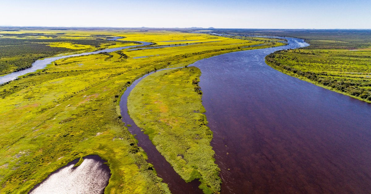 Bolivia Commits to Long-Term Conservation | WWF