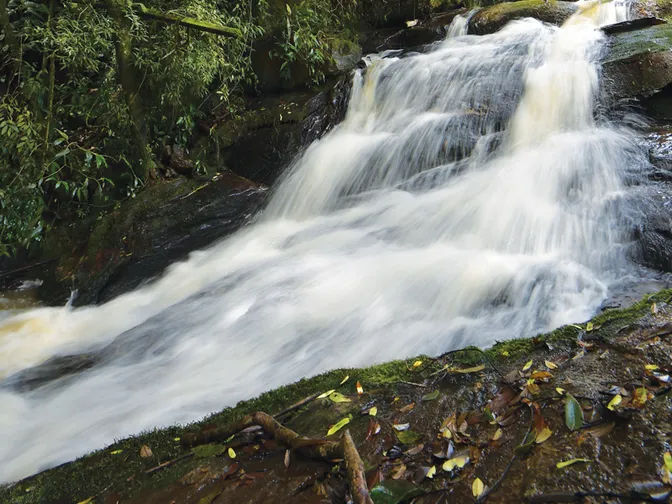 A Dam Predicament: Protecting Free-Flowing Rivers | World Wildlife Fund