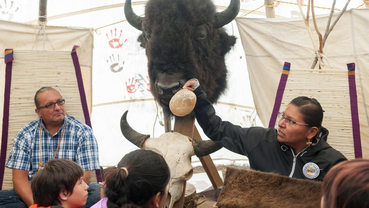 Native Nations Lead Bison Restoration | WWF | World Wildlife Fund