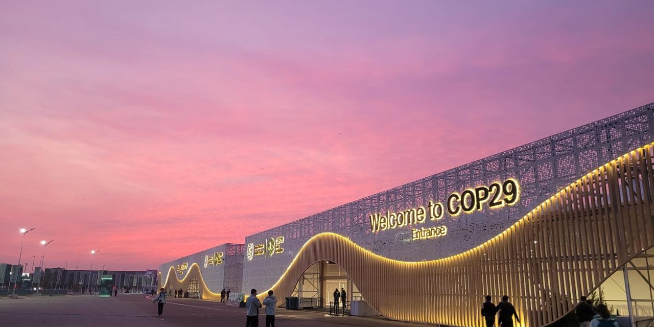 COP29 Outcomes and What Comes Next | WWF
