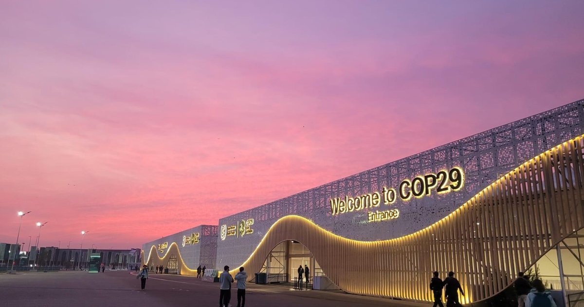 COP29 Outcomes and What Comes Next | World Wildlife Fund