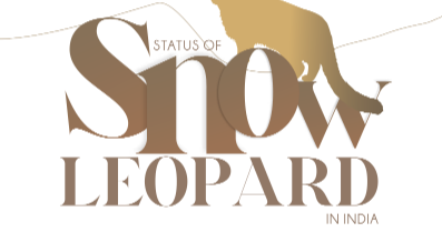 Status of Snow Leopard in India | World Wildlife Fund