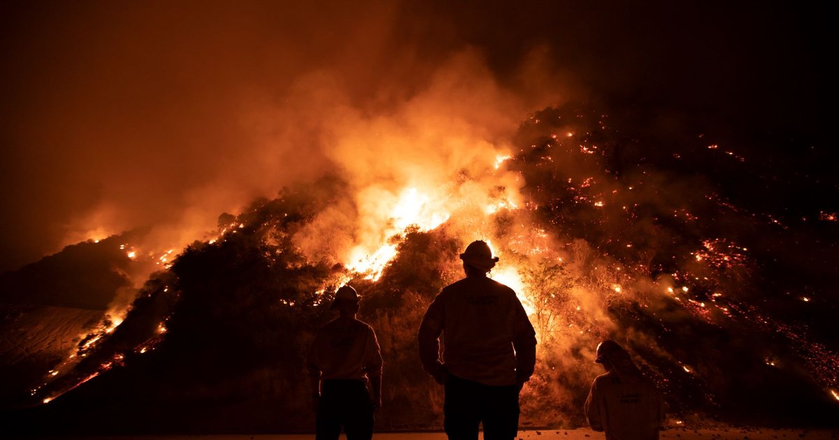 Fire Management for Climate & Wildlife | World Wildlife Fund