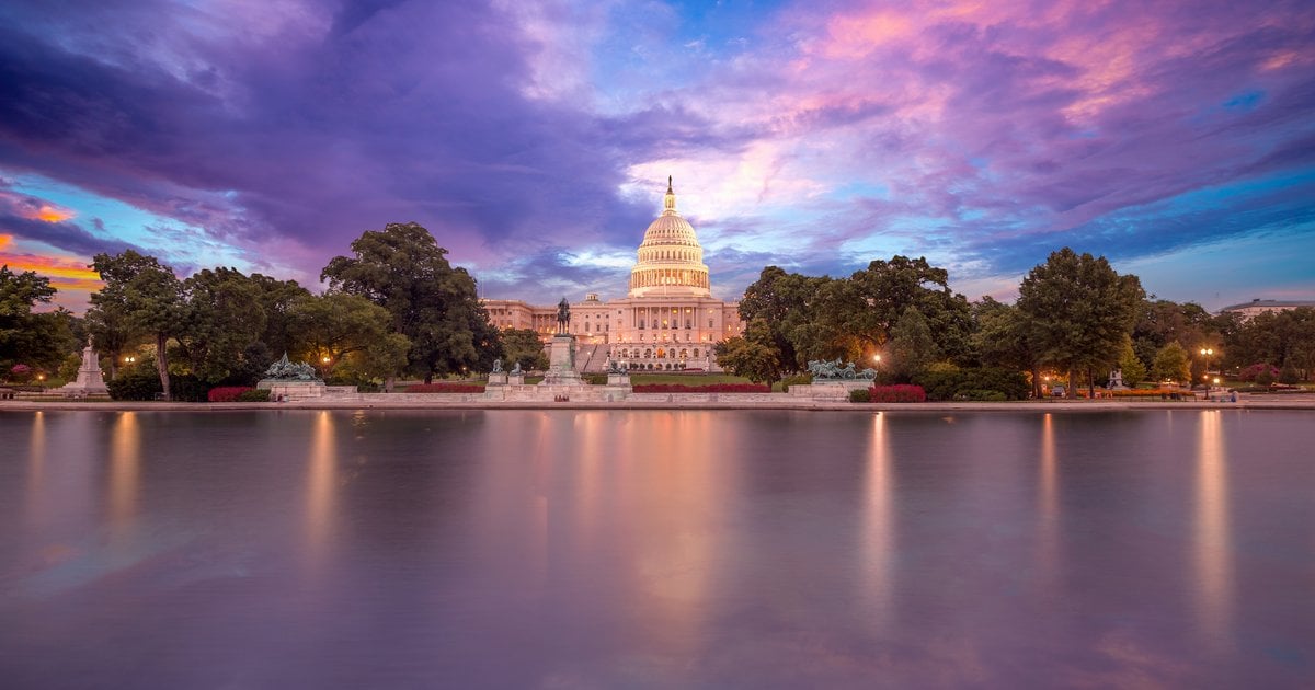 WWF Activism and Outreach Highlights of 2021 | World Wildlife Fund